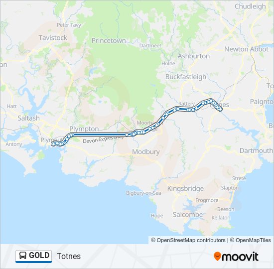 gold Route: Schedules, Stops & Maps - Totnes (Updated)