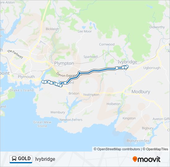 gold Route: Schedules, Stops & Maps - Ivybridge (Updated)