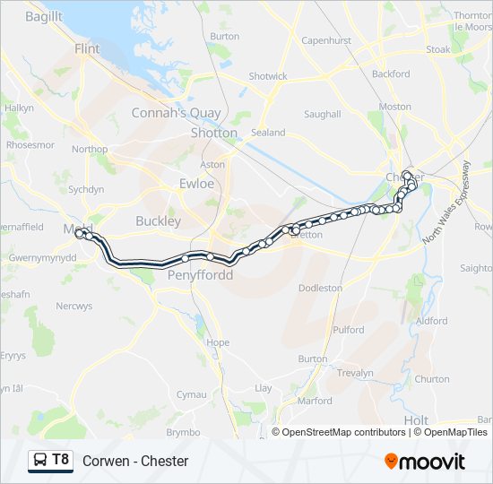t8 Route: Schedules, Stops & Maps - Mold (Updated)