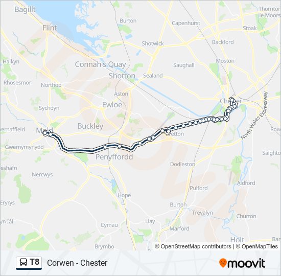 t8 Route: Schedules, Stops & Maps - Mold (Updated)