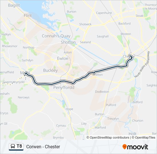 t8 Route: Schedules, Stops & Maps - Chester (Updated)