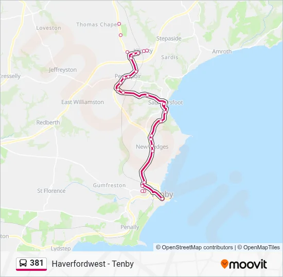 381 Route: Schedules, Stops & Maps - Tenby (Updated)