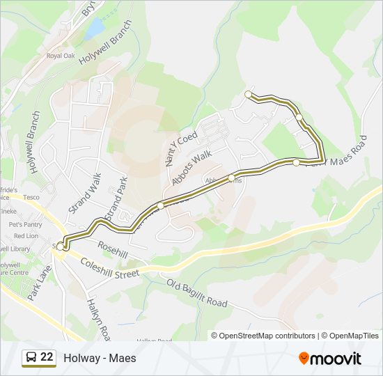 22 Route: Schedules, Stops & Maps - Holywell (Updated)