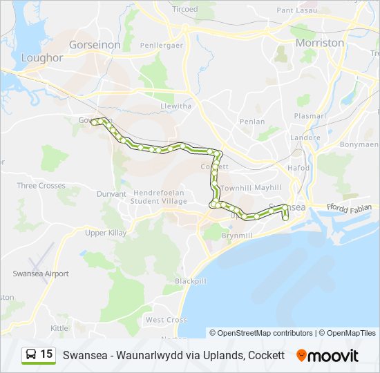 15 Route: Schedules, Stops & Maps - Swansea (Updated)
