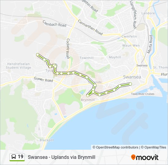 19 Route: Schedules, Stops & Maps - Carnglas (Updated)