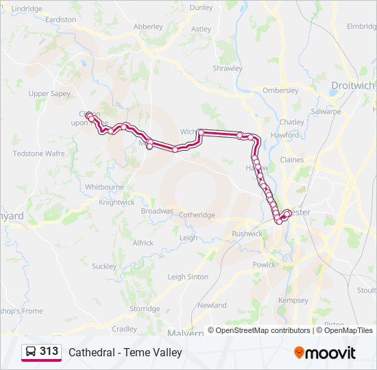 313 Route: Schedules, Stops & Maps - Worcester (Updated)