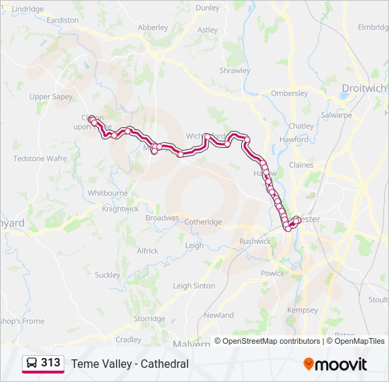 313 Route: Schedules, Stops & Maps - Worcester (Updated)