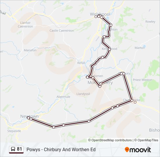 81 Route: Schedules, Stops & Maps - Newtown (Updated)