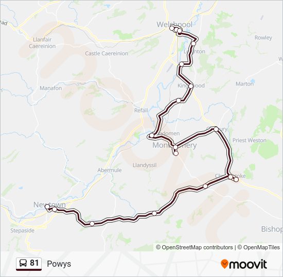 81 Route: Schedules, Stops & Maps - 81 (Updated)