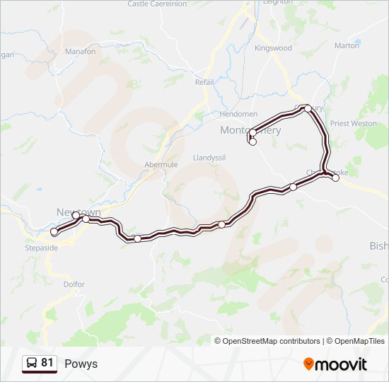 81 Route: Schedules, Stops & Maps - 81 College (Updated)