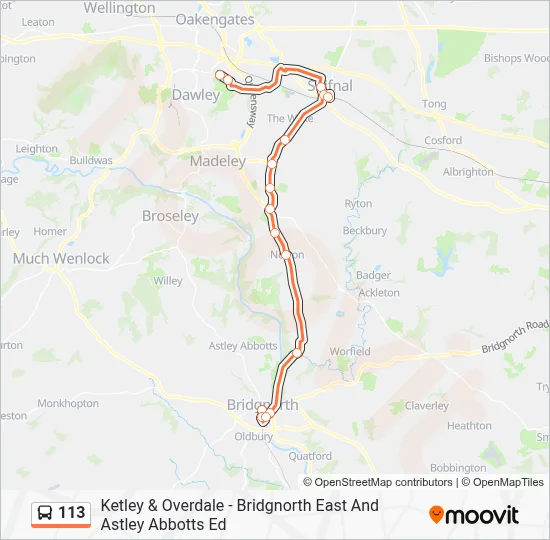 113 Route: Schedules, Stops & Maps - Bus Station (Updated)