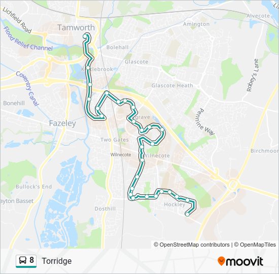 8 Route: Schedules, Stops & Maps - Torridge (Updated)
