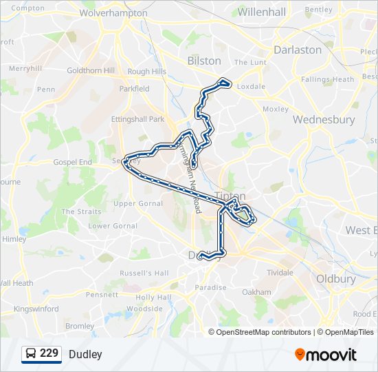 229 Route: Schedules, Stops & Maps - Dudley (Updated)