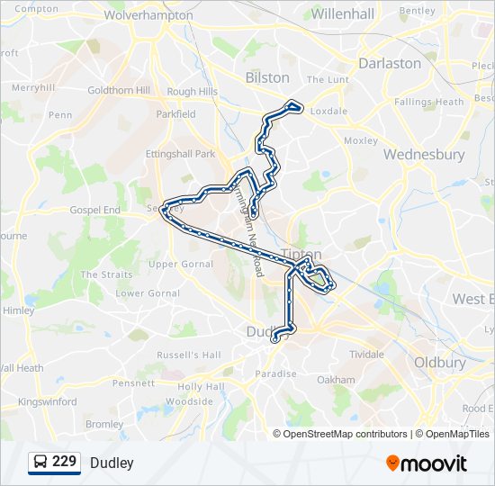 229 Route: Schedules, Stops & Maps - Dudley (Updated)