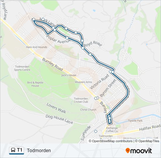 t1 Route: Schedules, Stops & Maps - Lydgate (Updated)