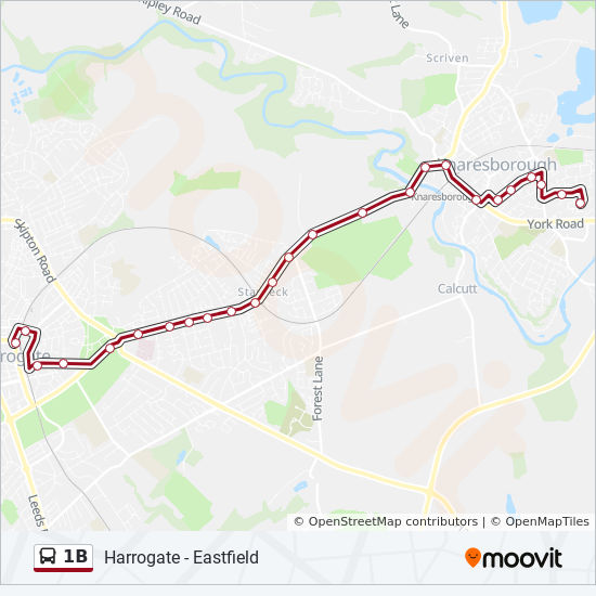 1b Route: Schedules, Stops & Maps - Carmires Harrogate (Updated)