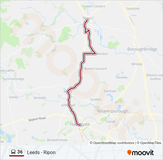36 Route: Schedules, Stops & Maps - Harrogate Bus Stn (Updated)