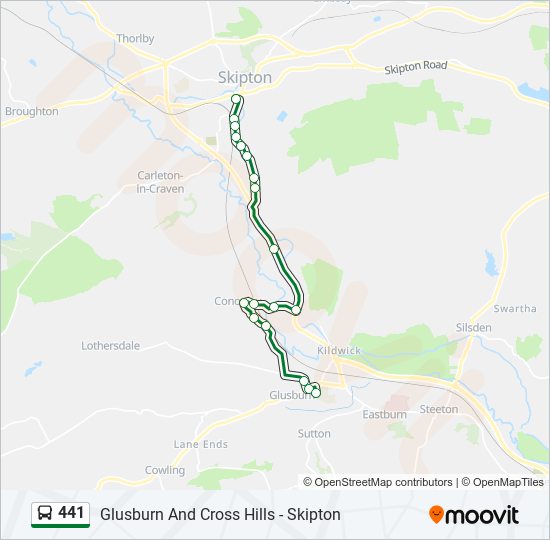 441 Route: Schedules, Stops & Maps - Skipton (Updated)