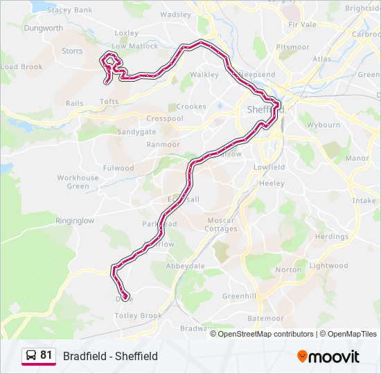 81 Route: Schedules, Stops & Maps - Dore (Updated)