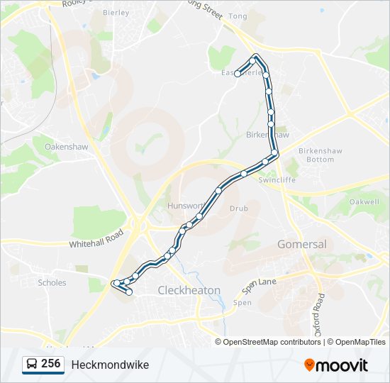 256 Route: Schedules, Stops & Maps - South View Rd (Updated)