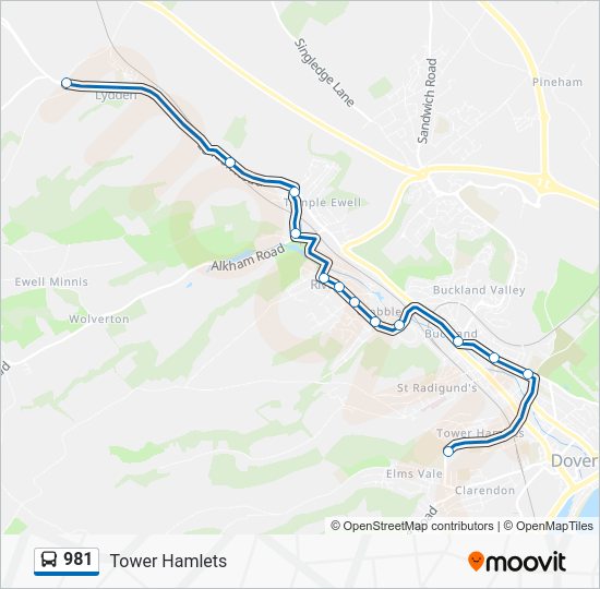 981 Route: Schedules, Stops & Maps - Tower Hamlets (Updated)