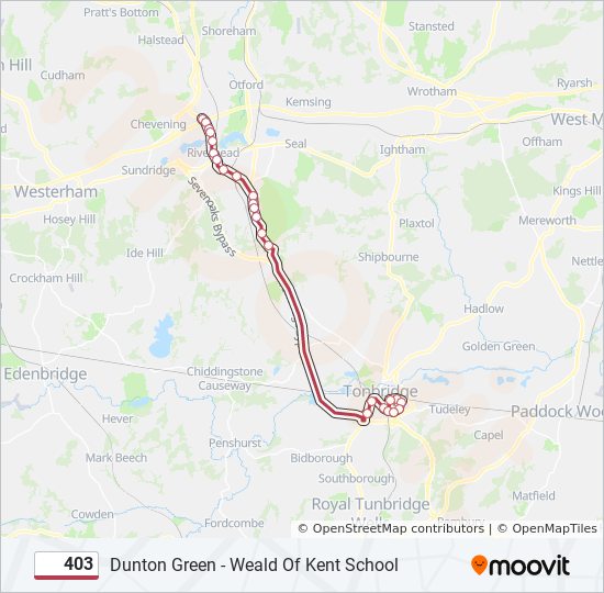403 Route: Schedules, Stops & Maps - Tonbridge (Updated)