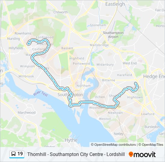 19 Route: Schedules, Stops & Maps - Thornhill (Updated)