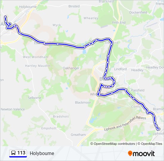 113 Route: Schedules, Stops & Maps - Holybourne (Updated)