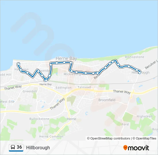 36 Route: Schedules, Stops & Maps - Hillborough (Updated)