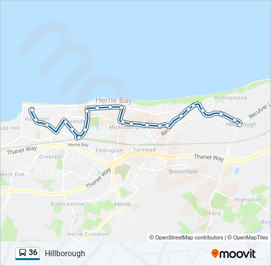 36 Route: Schedules, Stops & Maps - Hillborough (Updated)