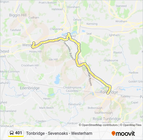 401 Route: Schedules, Stops & Maps - Westerham (Updated)