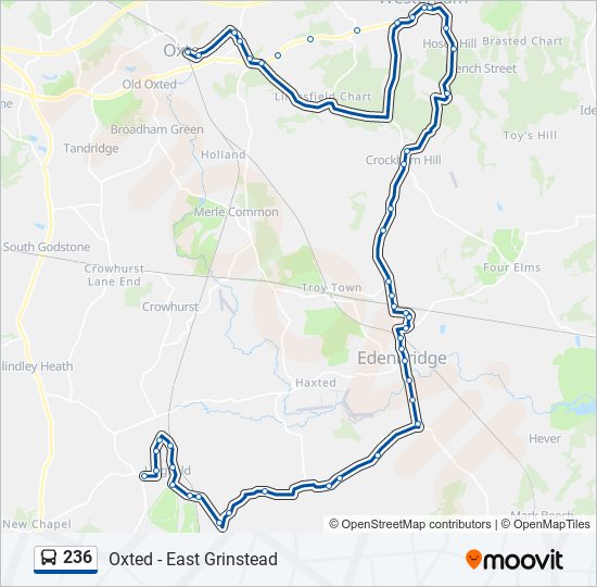236 Route: Schedules, Stops & Maps - Lingfield (Updated)