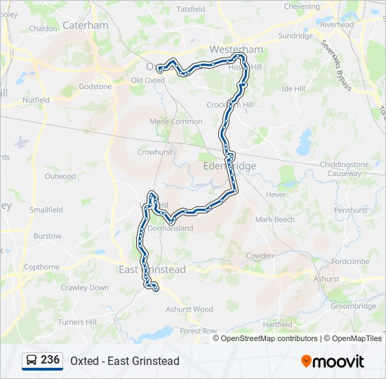 236 Route: Schedules, Stops & Maps - Oxted (Updated)