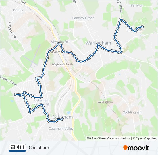 411 Route: Schedules, Stops & Maps - Chelsham (Updated)
