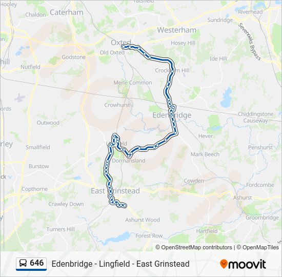 646 Route: Schedules, Stops & Maps - Oxted (Updated)