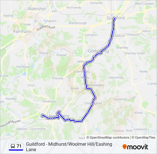 71 Route: Schedules, Stops & Maps - Woolmer Hill (Updated)