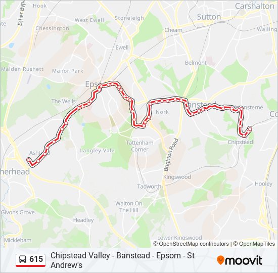 615 Route: Schedules, Stops & Maps - Leatherhead (Updated)
