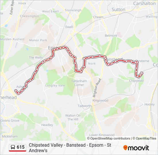 615 Route: Schedules, Stops & Maps - Woodmansterne (Updated)