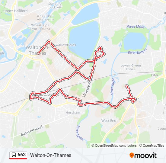 663 Route: Schedules, Stops & Maps - Walton-On-Thames (Updated)