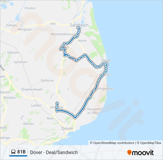 81B Route: Schedules, Stops & Maps - Whitfield (Updated)