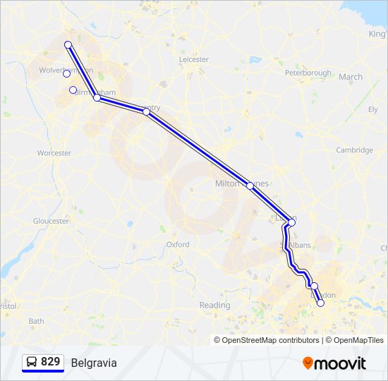 829 Route: Schedules, Stops & Maps - Belgravia (Updated)