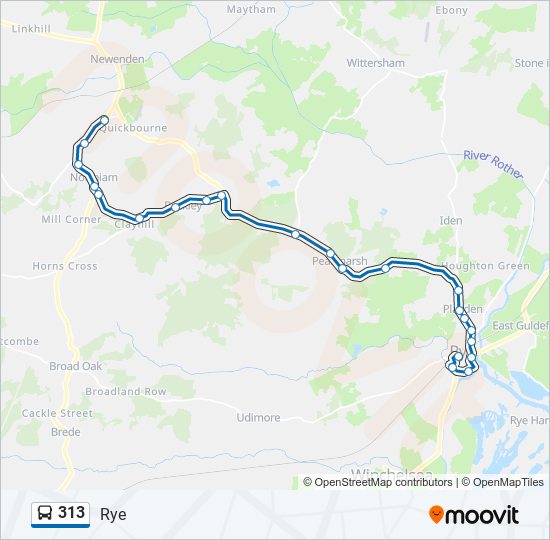 313 Route: Schedules, Stops & Maps - Rye (Updated)