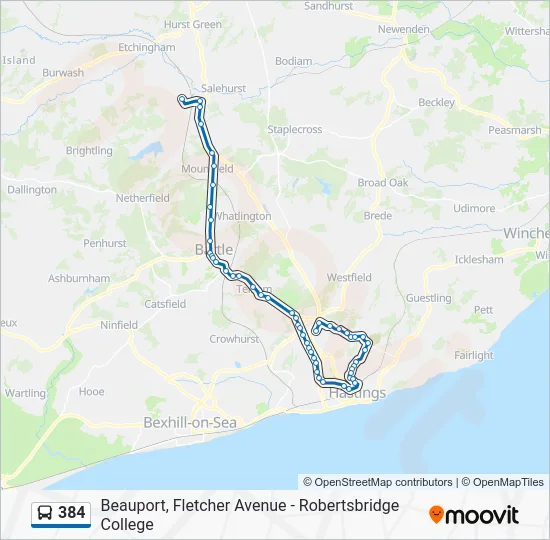 384 Route: Schedules, Stops & Maps - Robertsbridge (Updated)