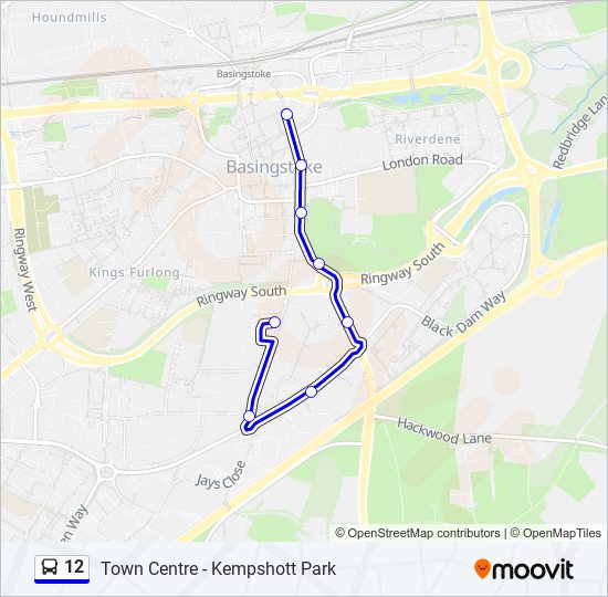 12 Route: Schedules, Stops & Maps - Basingstoke (Updated)