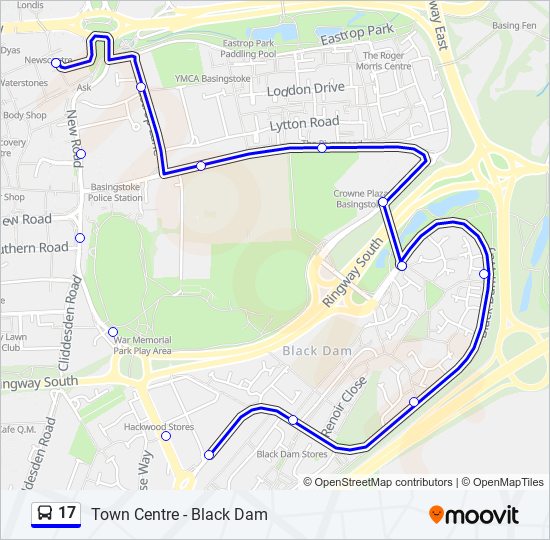 17 Route: Schedules, Stops & Maps - Basingstoke (Updated)