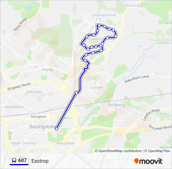 607 Route: Schedules, Stops & Maps - Eastrop (Updated)