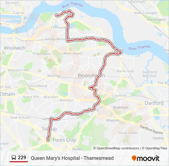 229 Route: Schedules, Stops & Maps - Queen Mary's Hospital (Updated)
