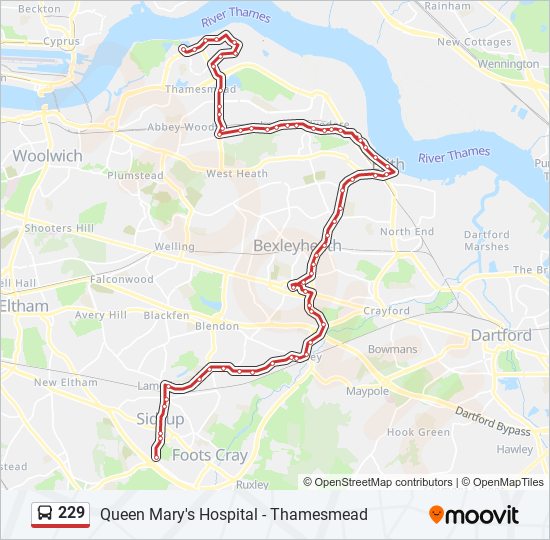 229 Route: Schedules, Stops & Maps - Queen Mary's Hospital (Updated)