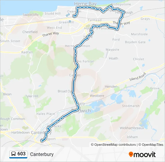 603 Route: Schedules, Stops & Maps - Canterbury (Updated)