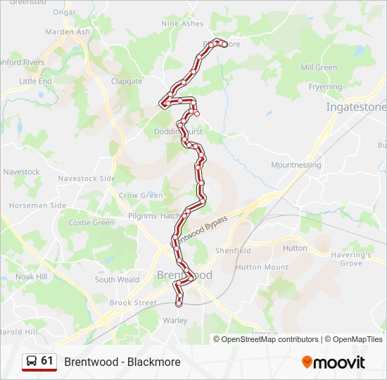 61 Route: Schedules, Stops & Maps - Blackmore (Updated)